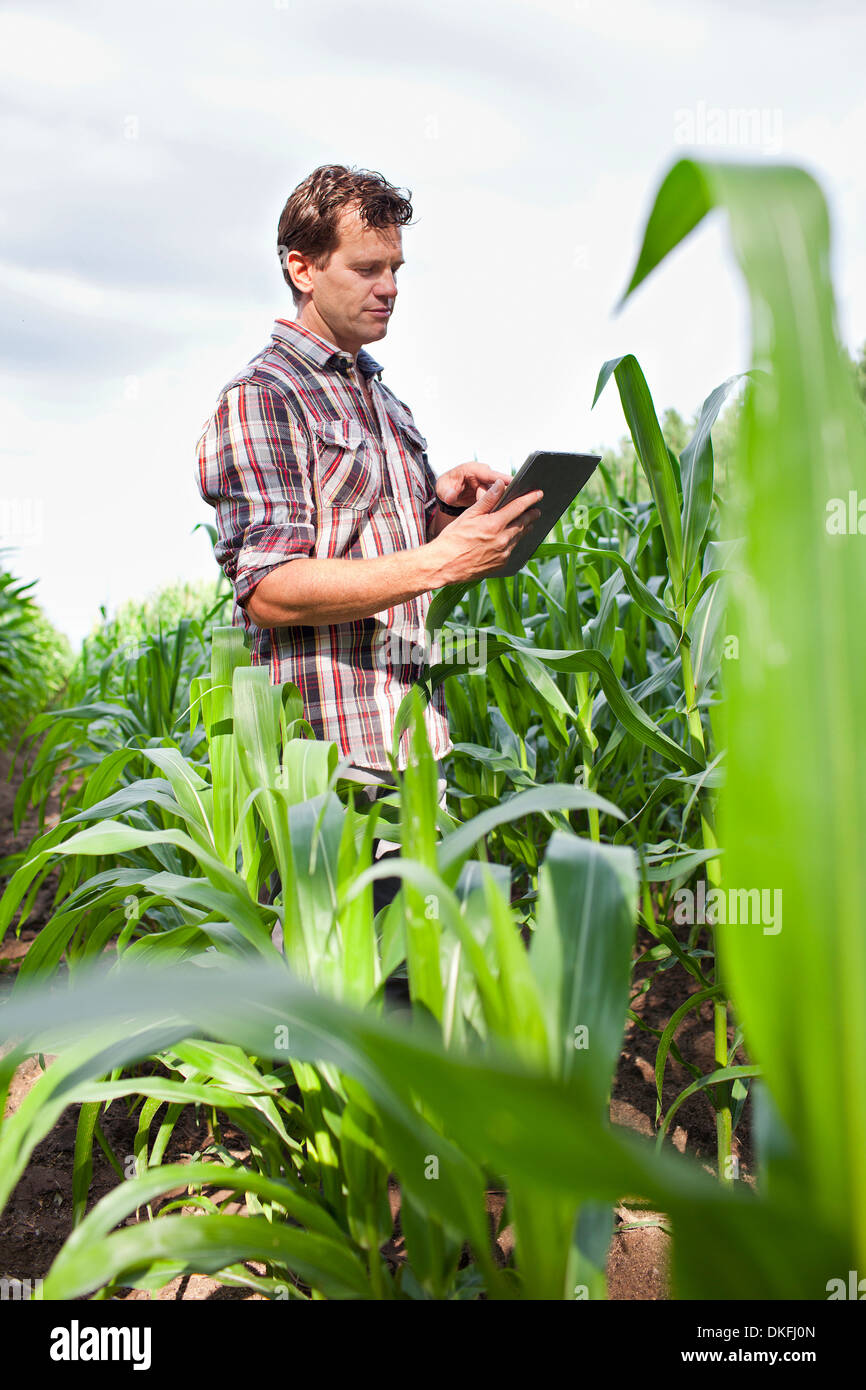 Landwirt im feld stehen -Fotos und -Bildmaterial in hoher Auflösung – Alamy