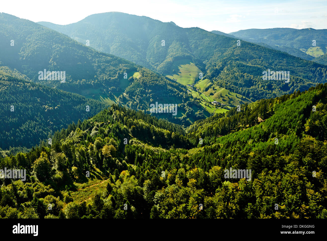 Bewaldeten Berg im Schwarzwald mit Belchen im Hintergrund, Münstertal, Baden-Württemberg ...