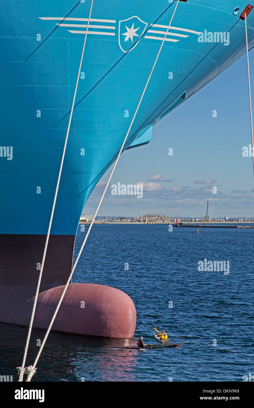 Ship bug -Fotos und -Bildmaterial in hoher Auflösung - Seite 2 - Alamy