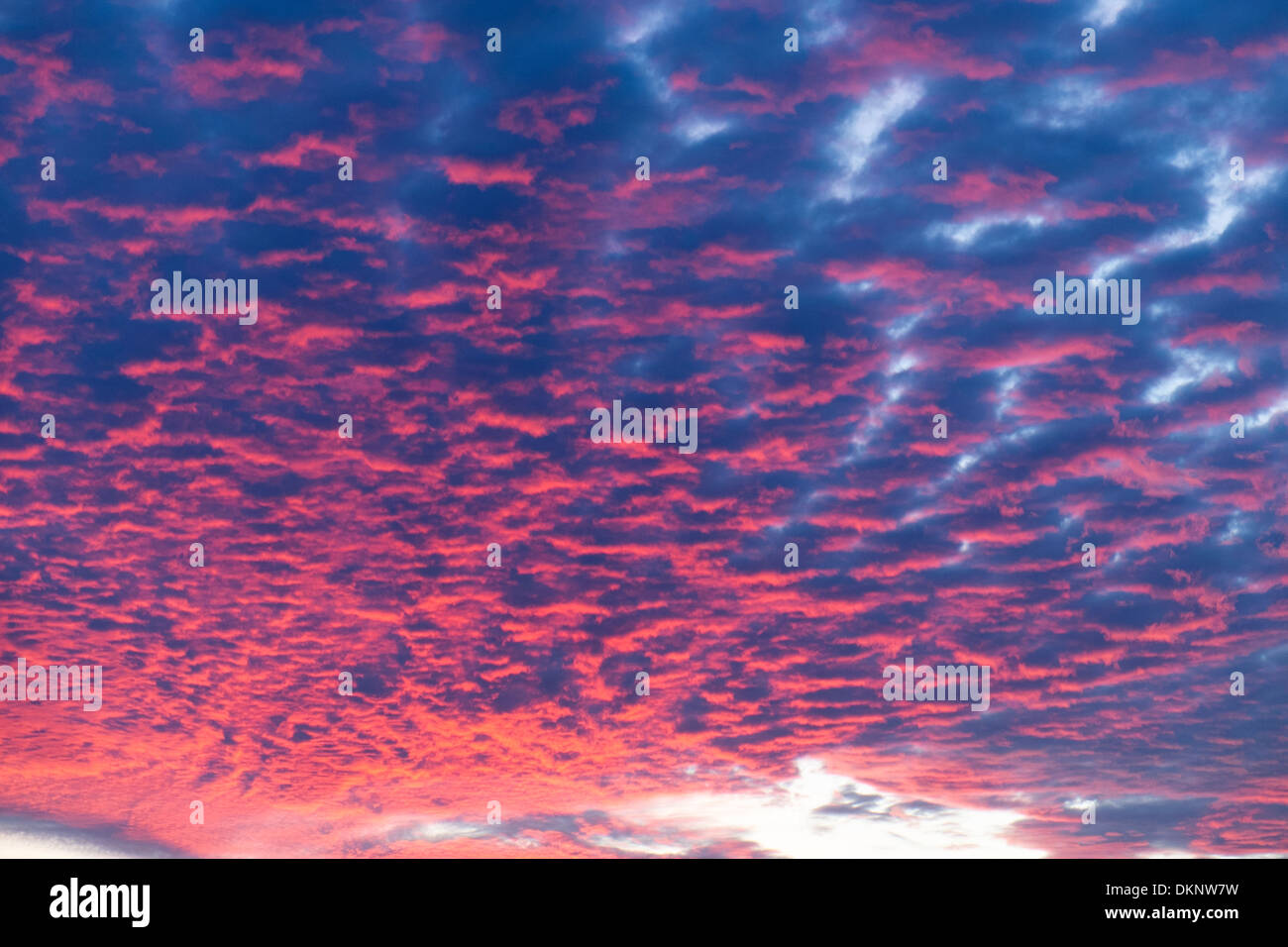 Wolken von rot -Fotos und -Bildmaterial in hoher Auflösung – Alamy