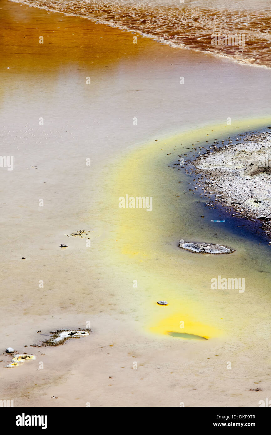 Gelber gaumen -Fotos und -Bildmaterial in hoher Auflösung – Alamy