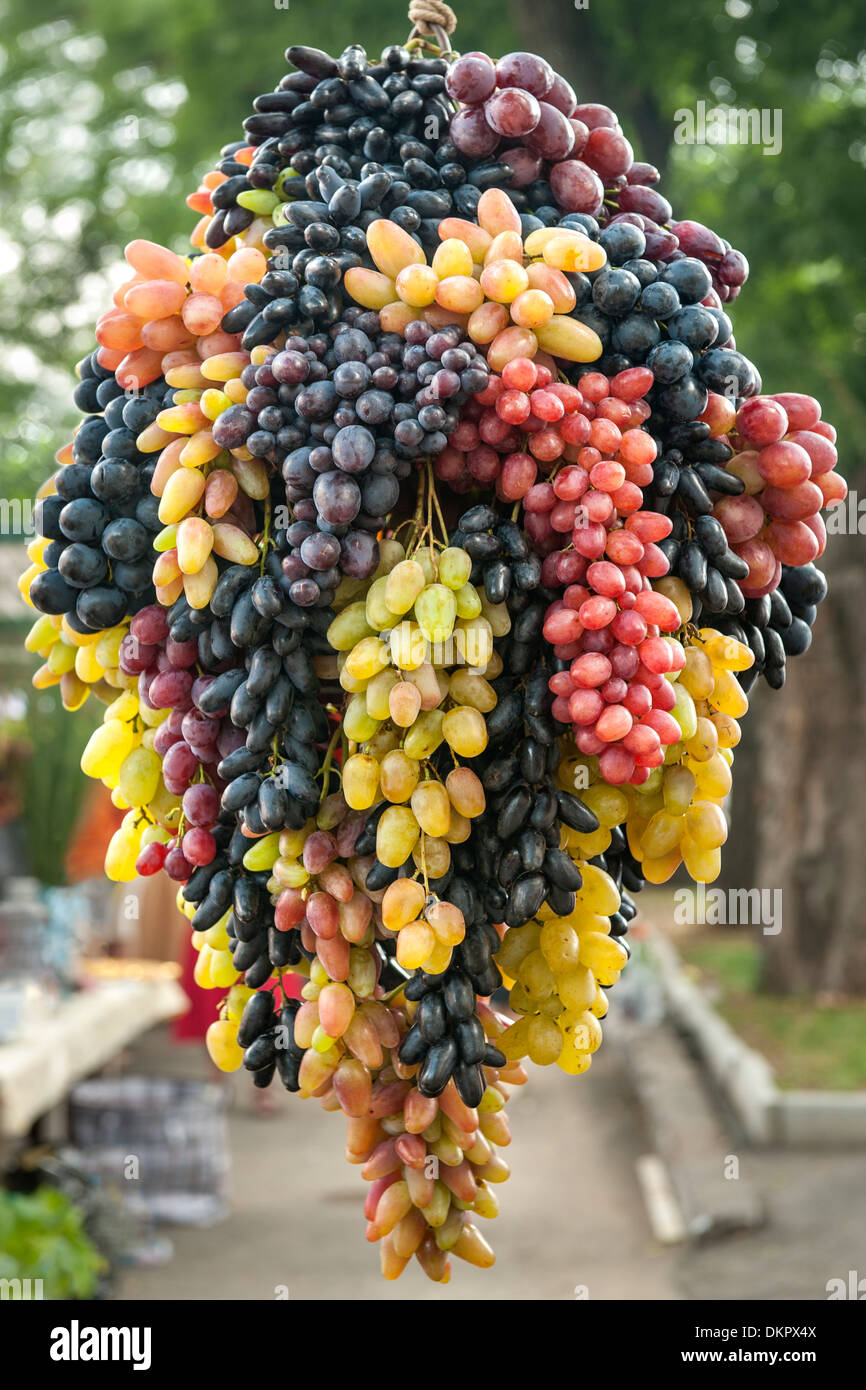 Mischung verschiedener rebsorten -Fotos und -Bildmaterial in hoher ...