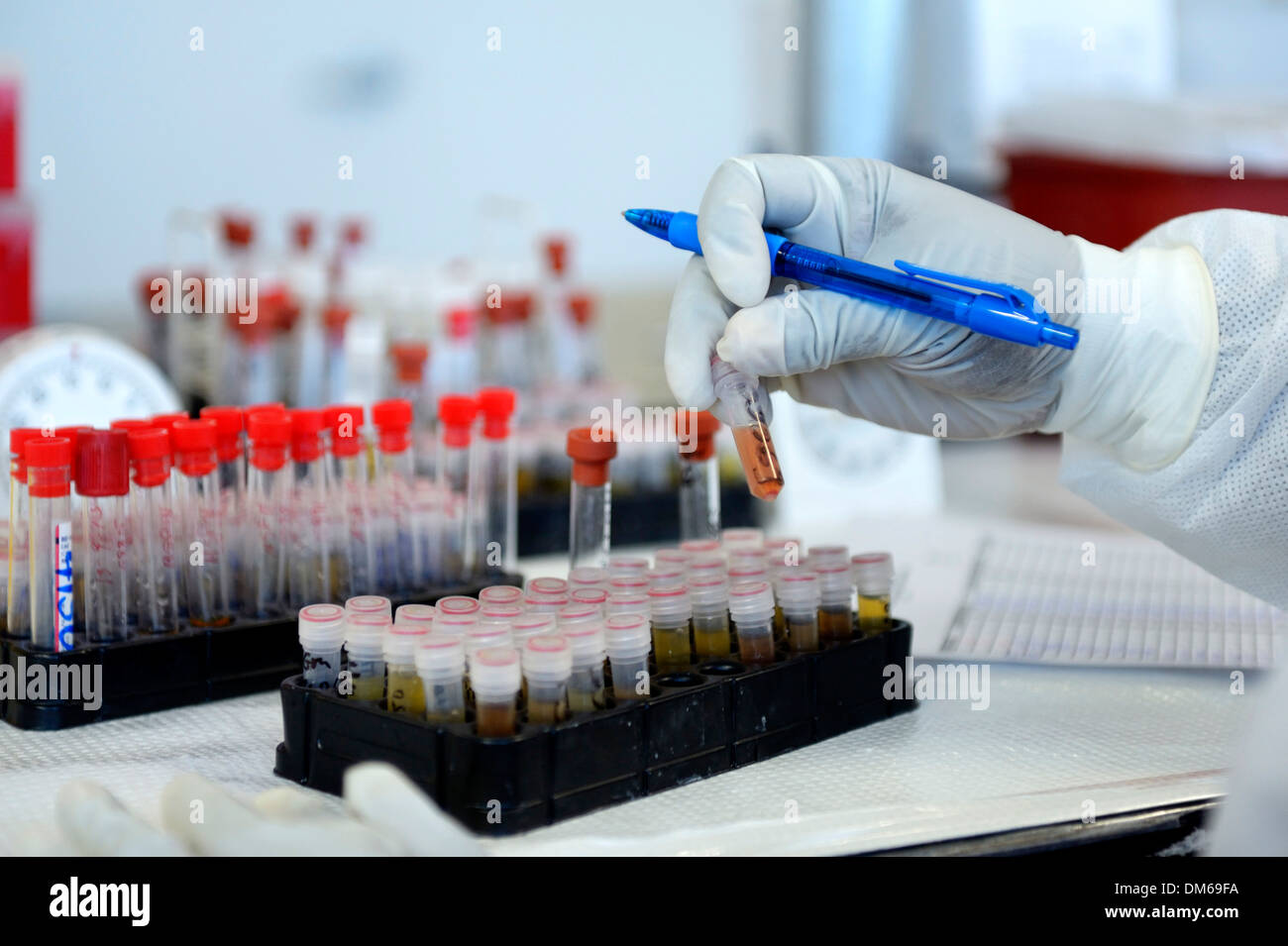 Laborantin mit Blutproben in einem Labor, roten Kreuz Blut Spende ...