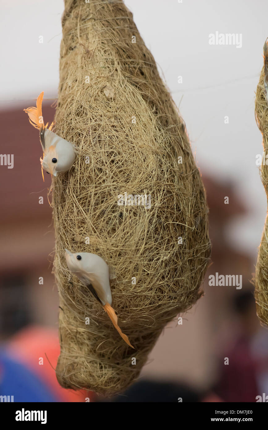 Swallows nest -Fotos und -Bildmaterial in hoher Auflösung – Alamy