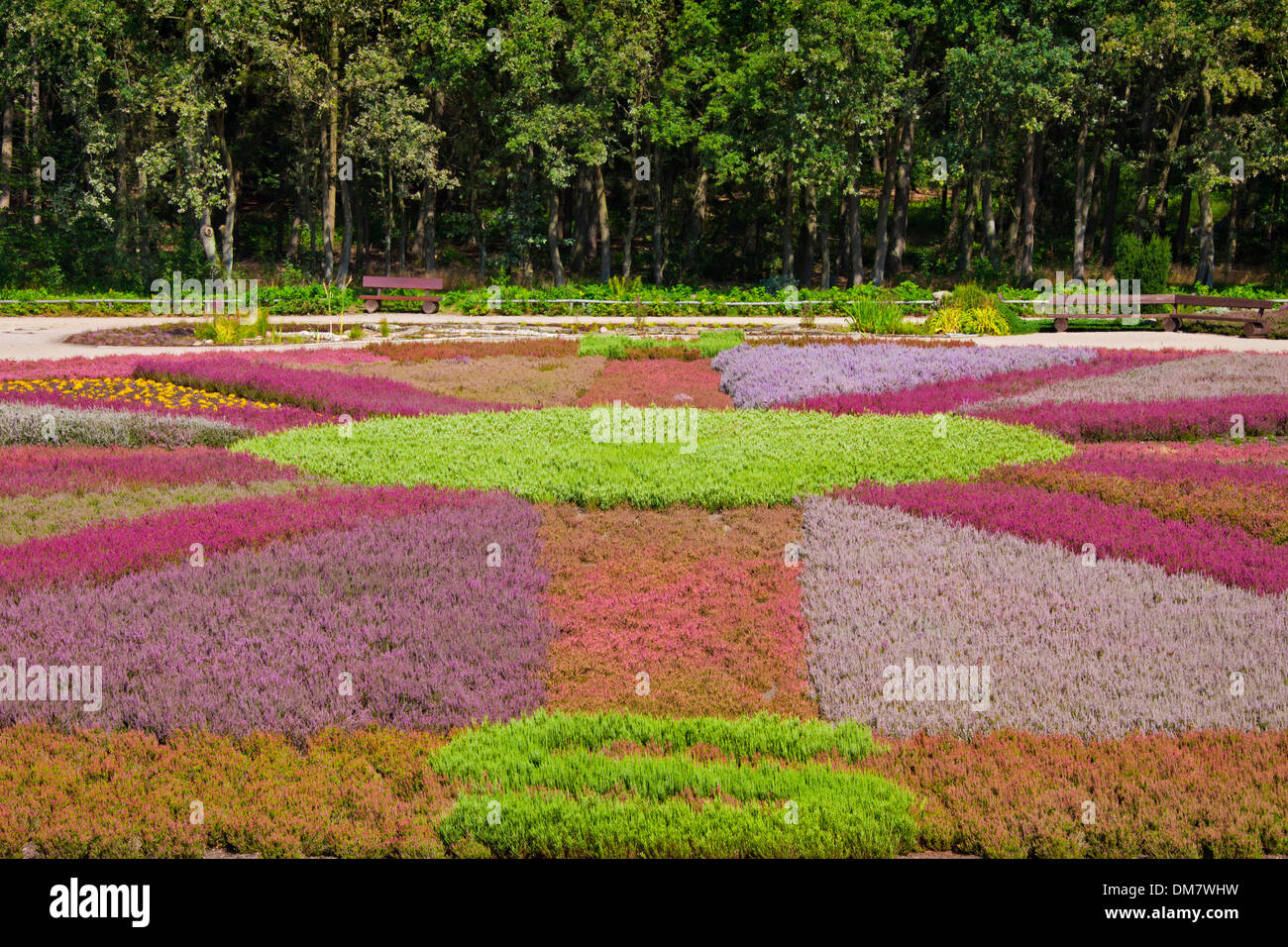 Schneverdingen heidegarten -Fotos und -Bildmaterial in hoher Auflösung ...