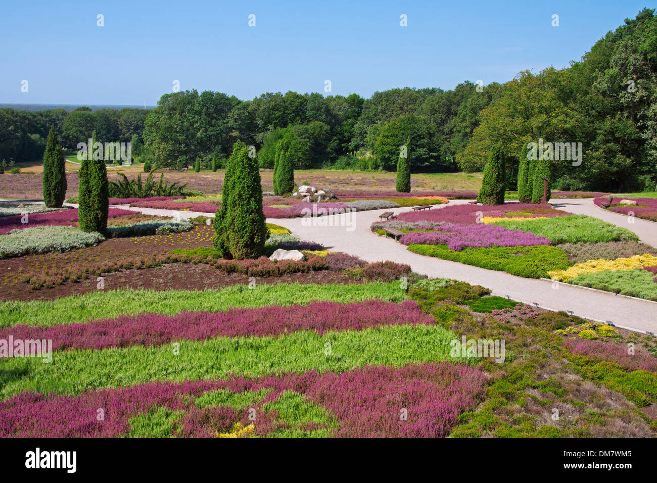 Schneverdingen heidegarten -Fotos und -Bildmaterial in hoher Auflösung ...