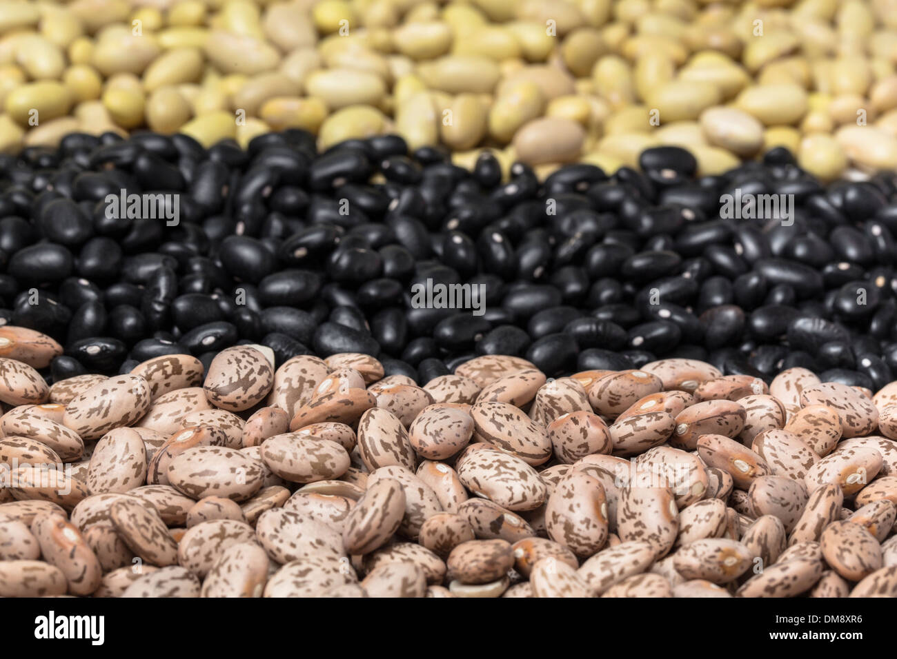 Bohnen sortiert -Fotos und -Bildmaterial in hoher Auflösung – Alamy