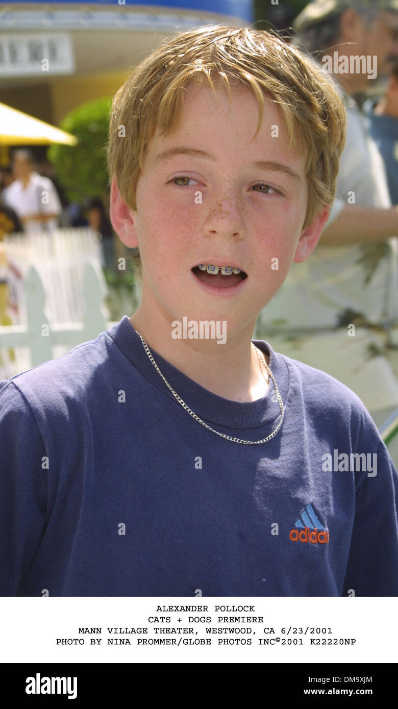 Alexander pollock -Fotos und -Bildmaterial in hoher Auflösung – Alamy