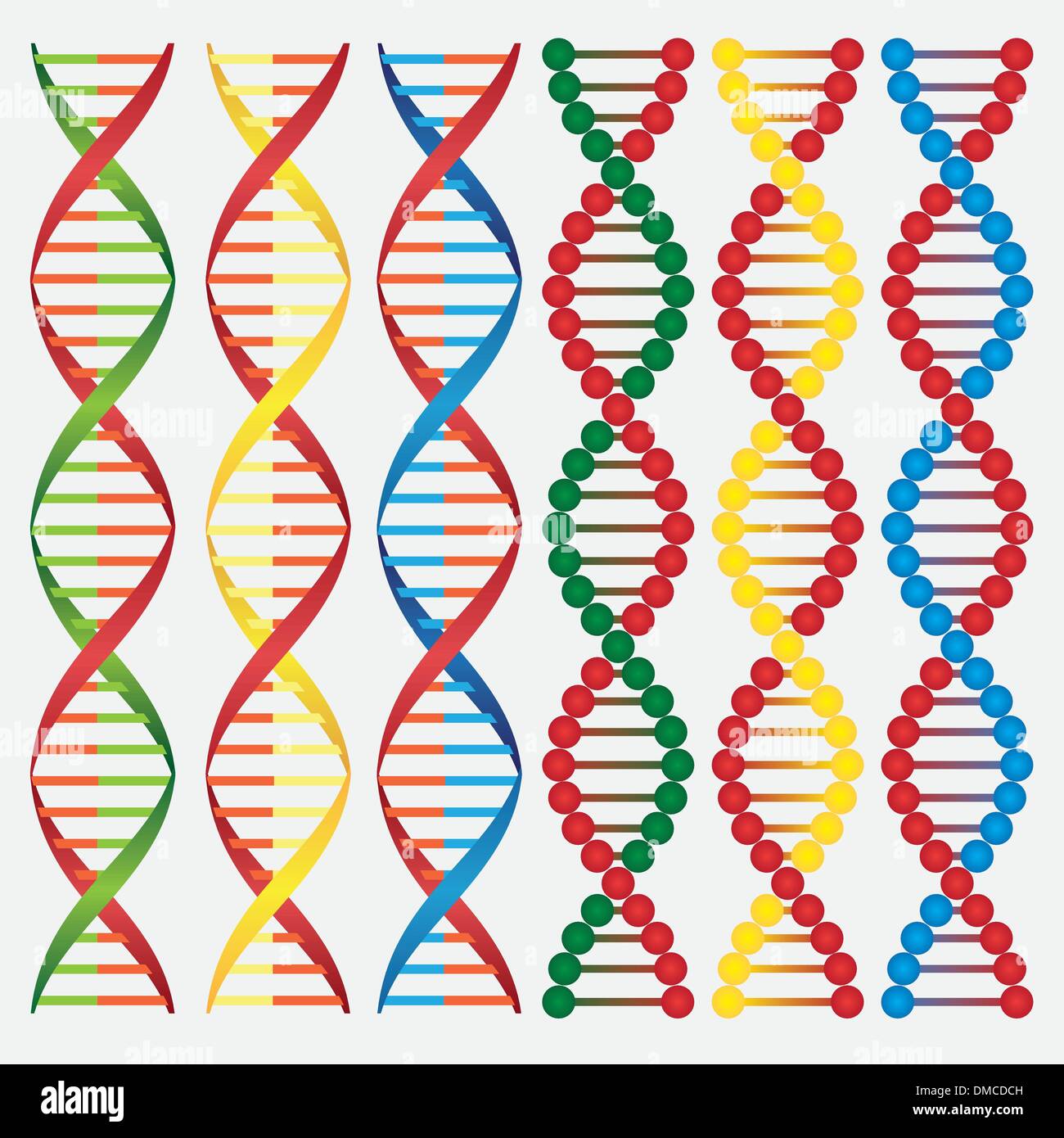 Dna molecules Stock-Vektorgrafiken kaufen - Alamy