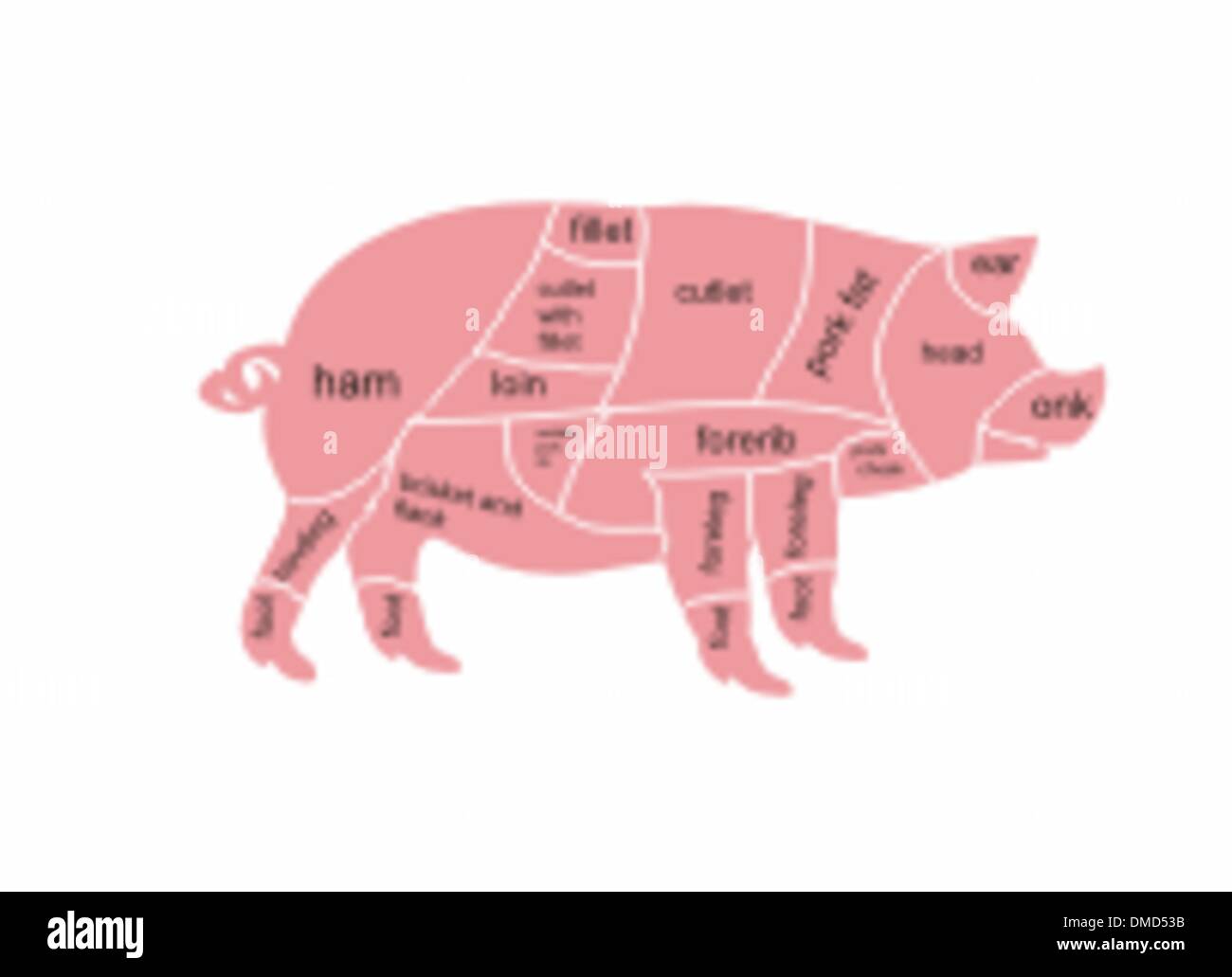 Meat diagram pork -Fotos und -Bildmaterial in hoher Auflösung – Alamy