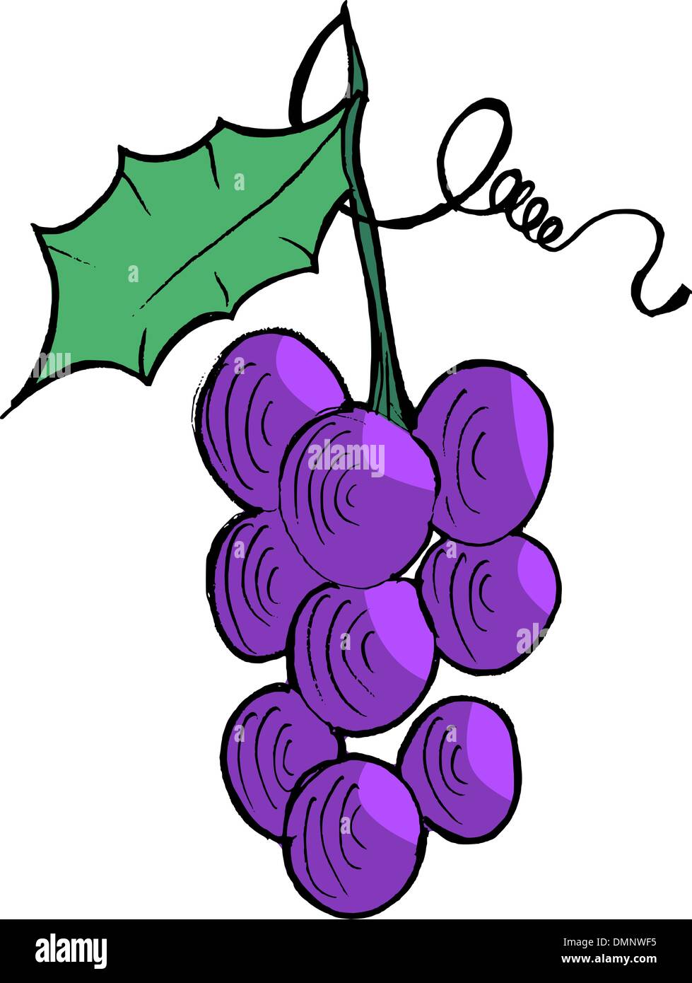 Grüne trauben cartoon -Fotos und -Bildmaterial in hoher Auflösung – Alamy