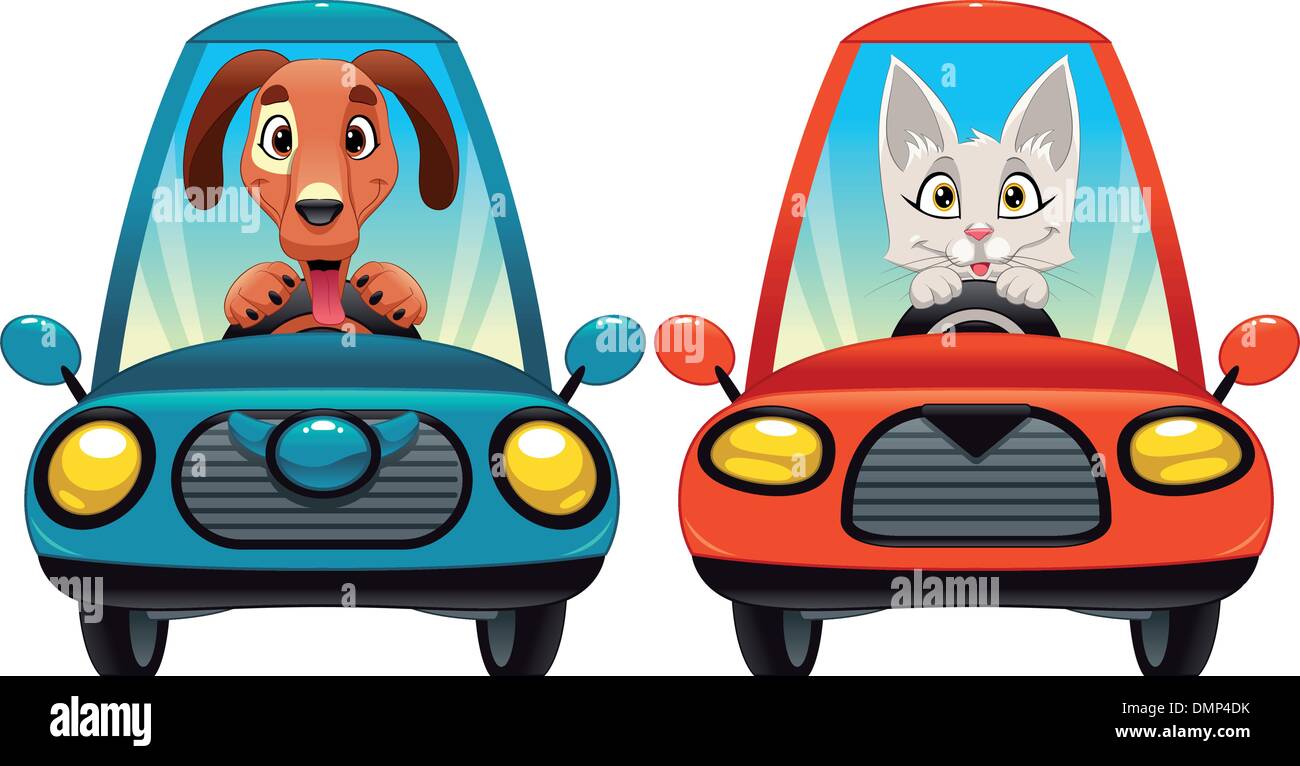 Tiere im Auto: Hund und Katze Stock-Vektorgrafik - Alamy