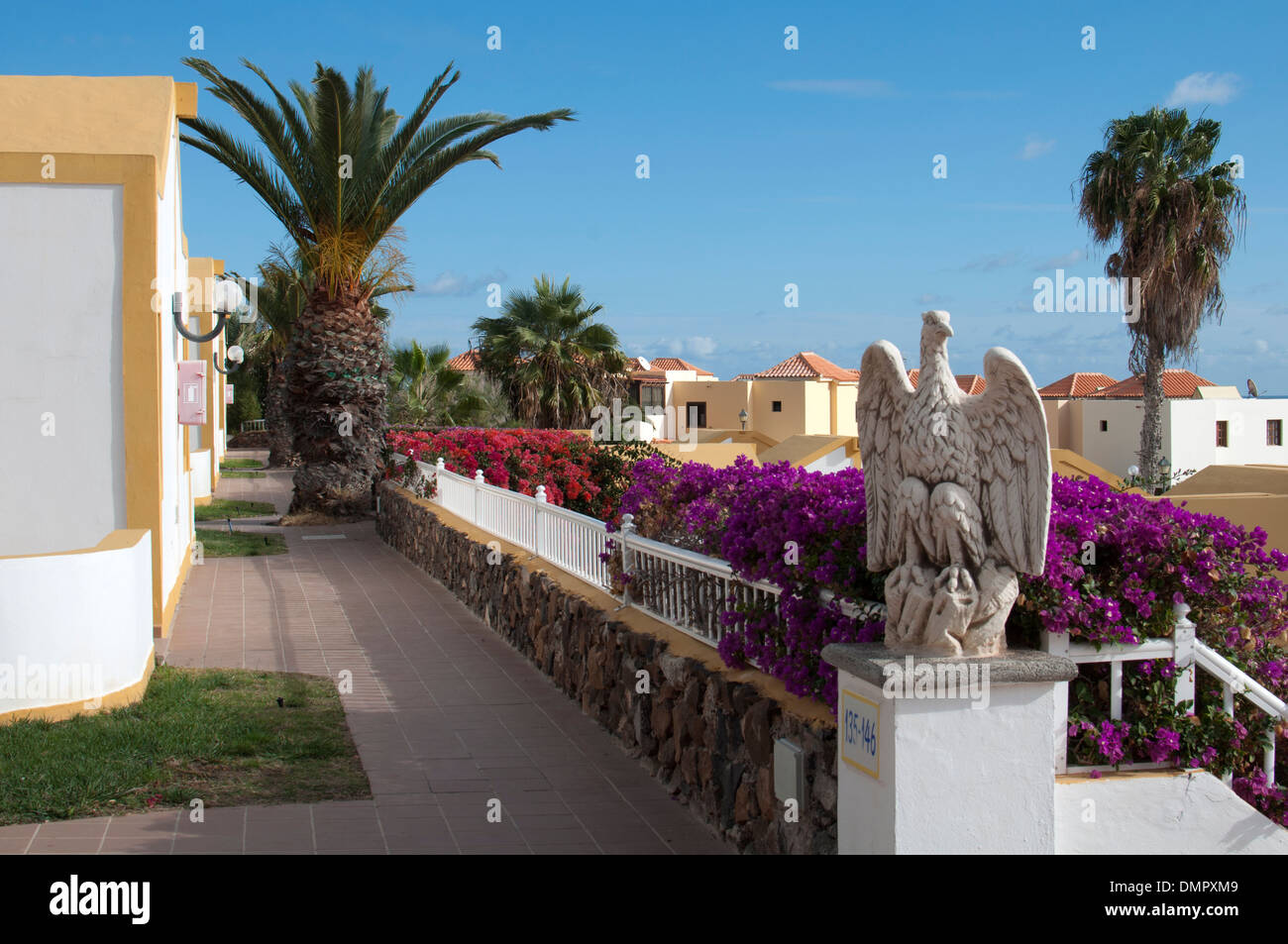 Caleta dorada -Fotos und -Bildmaterial in hoher Auflösung – Alamy