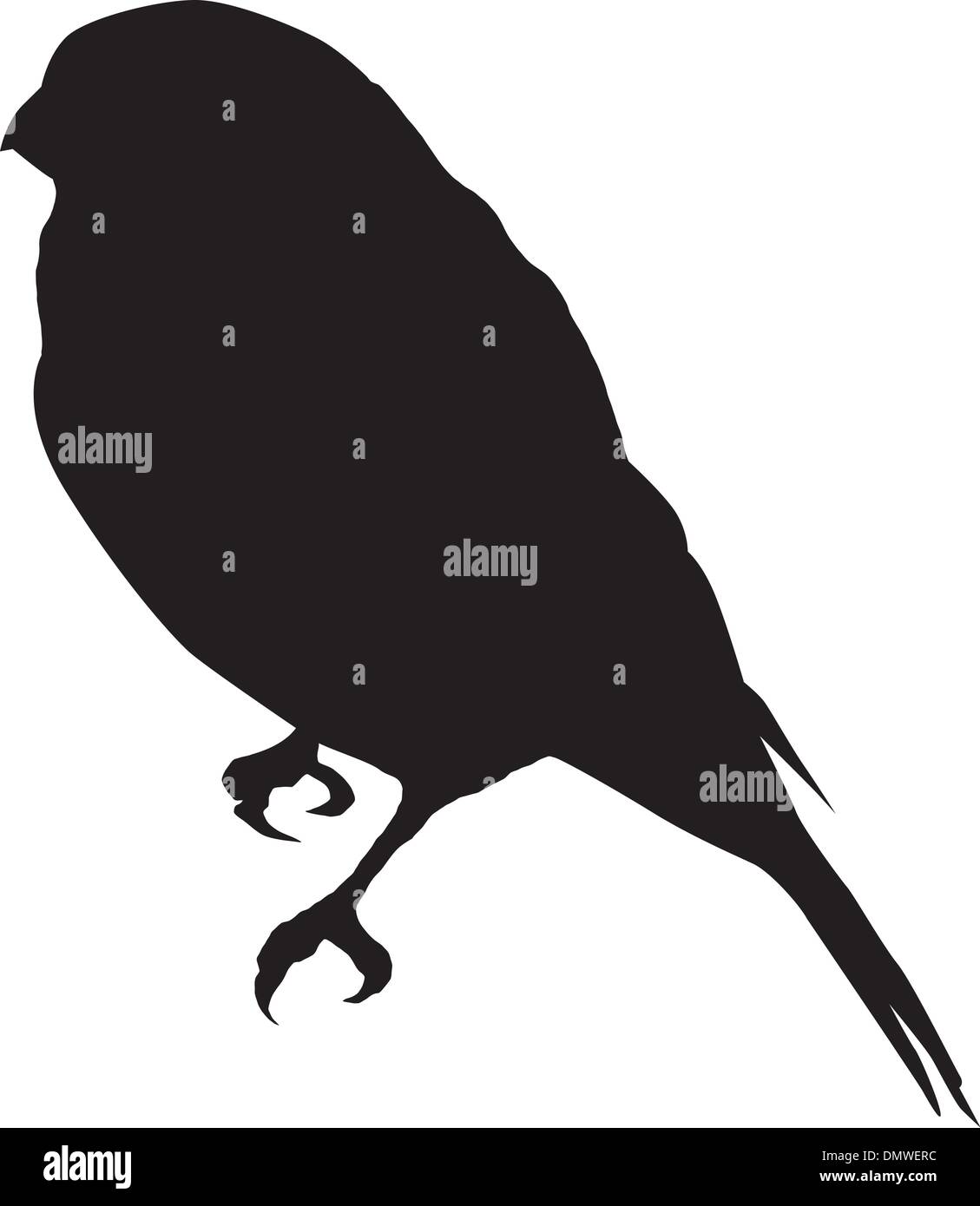 Spatz vektor vektoren -Fotos und -Bildmaterial in hoher Auflösung – Alamy