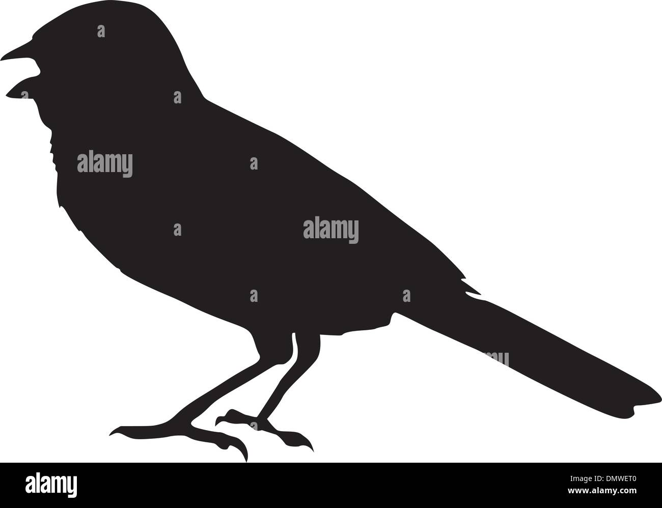 Spatz vektor vektoren -Fotos und -Bildmaterial in hoher Auflösung – Alamy