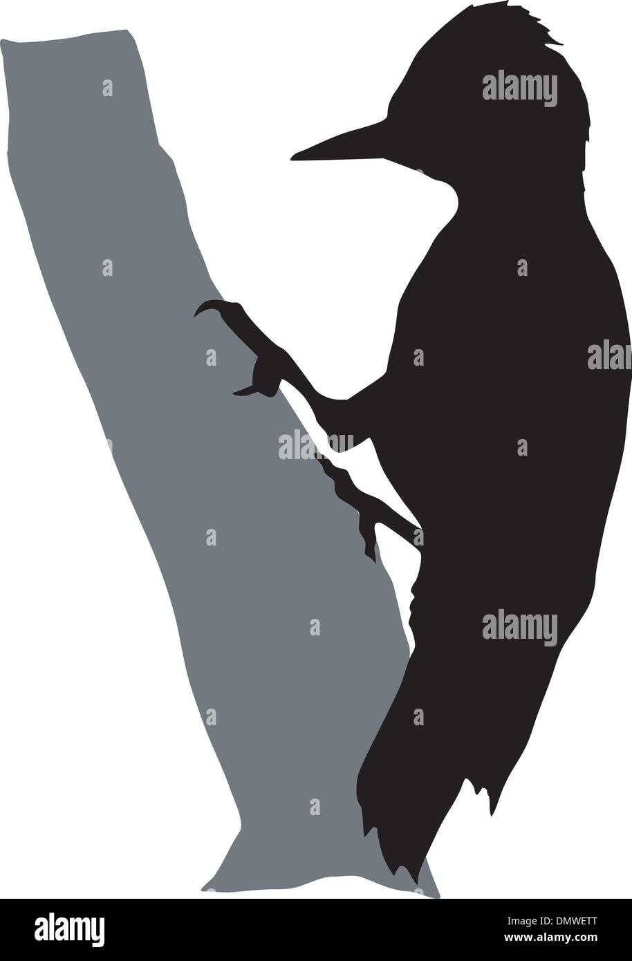 Specht vektor vektoren -Fotos und -Bildmaterial in hoher Auflösung – Alamy