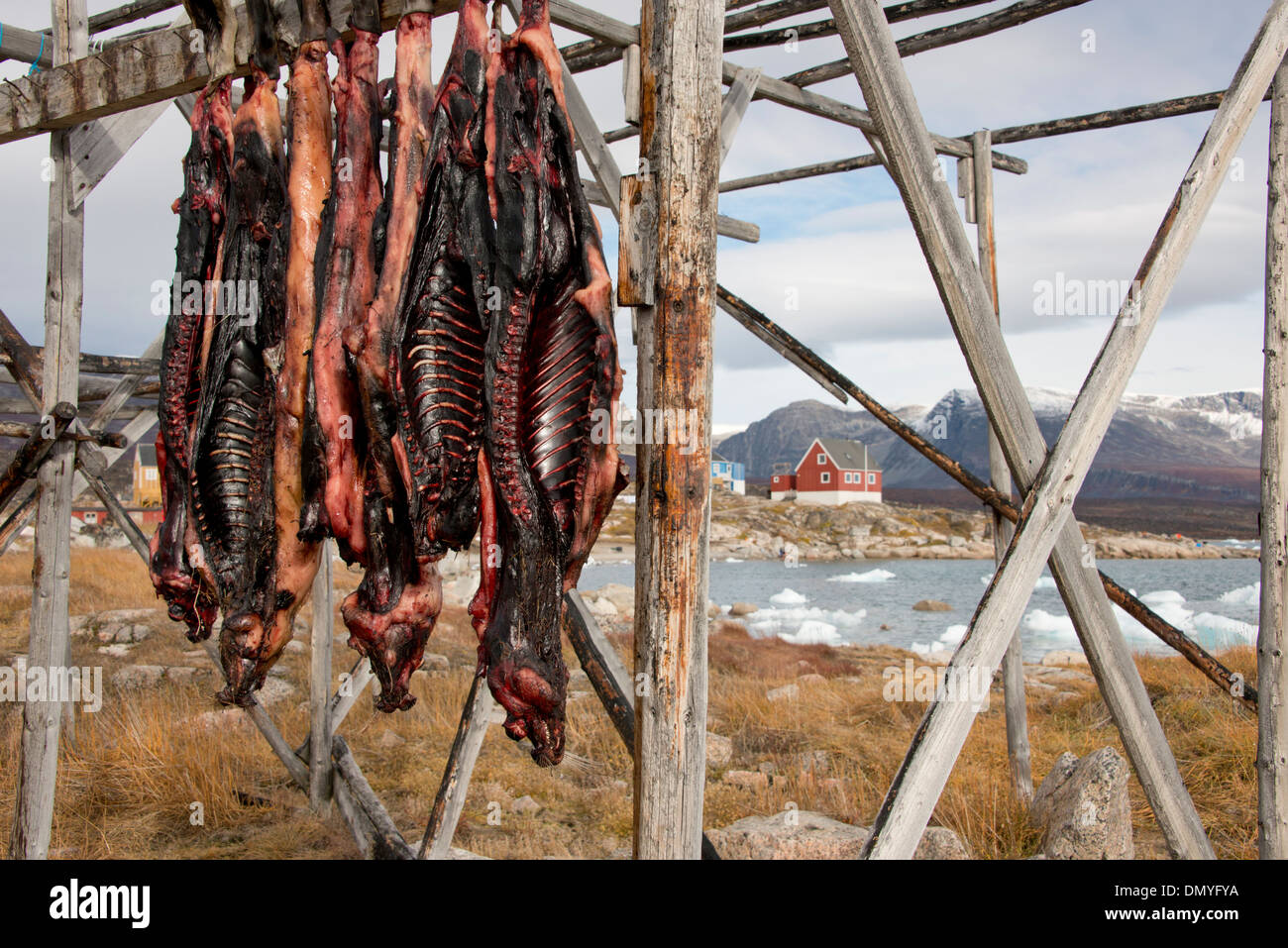 Grönland, Nuussuaq Halbinsel, Diskobucht, Qaasuitsup Gemeinde, Saqqaq ...