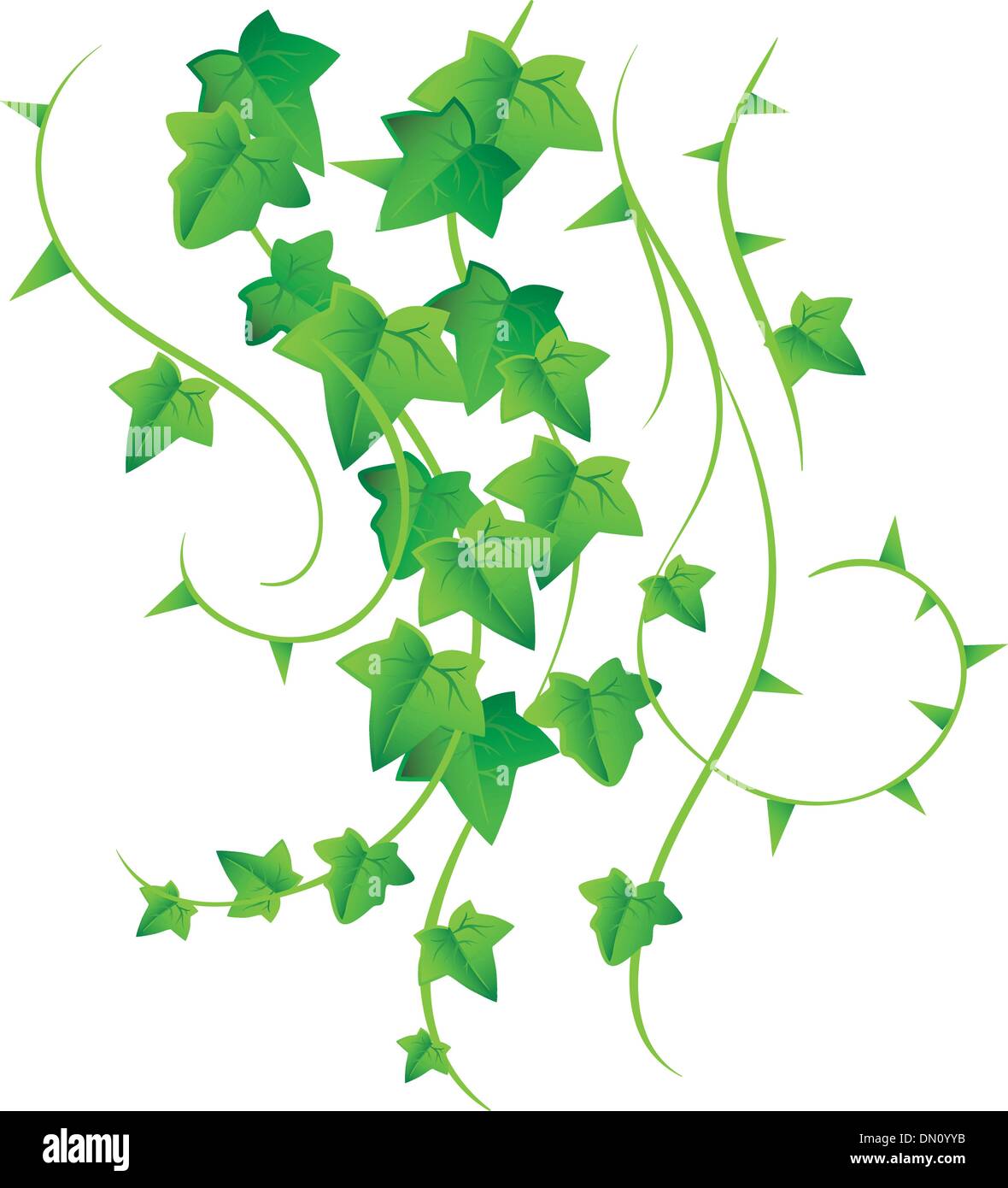 Von efeu -Fotos und -Bildmaterial in hoher Auflösung – Alamy