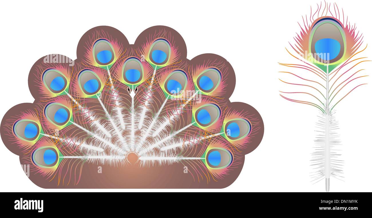 Pfau logo Stock-Vektorgrafiken kaufen - Alamy