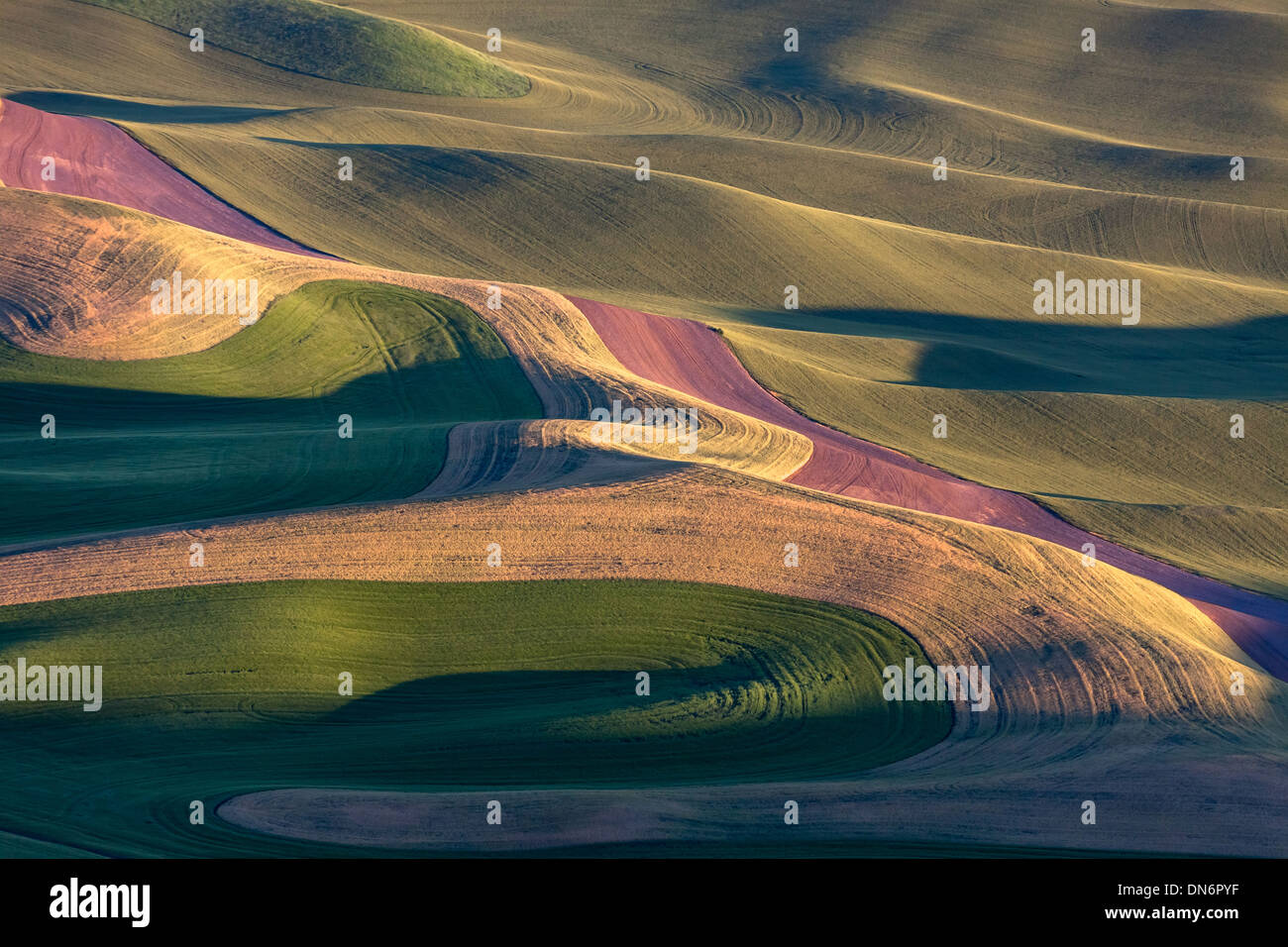 Palouse weizenfelder -Fotos und -Bildmaterial in hoher Auflösung – Alamy