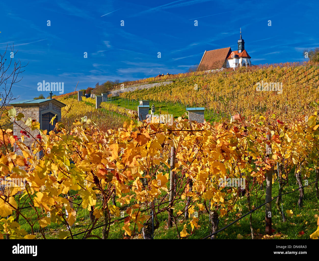 Kirche Maria Im Weingarten, Volkach am Main, untere Franken, Bayern ...