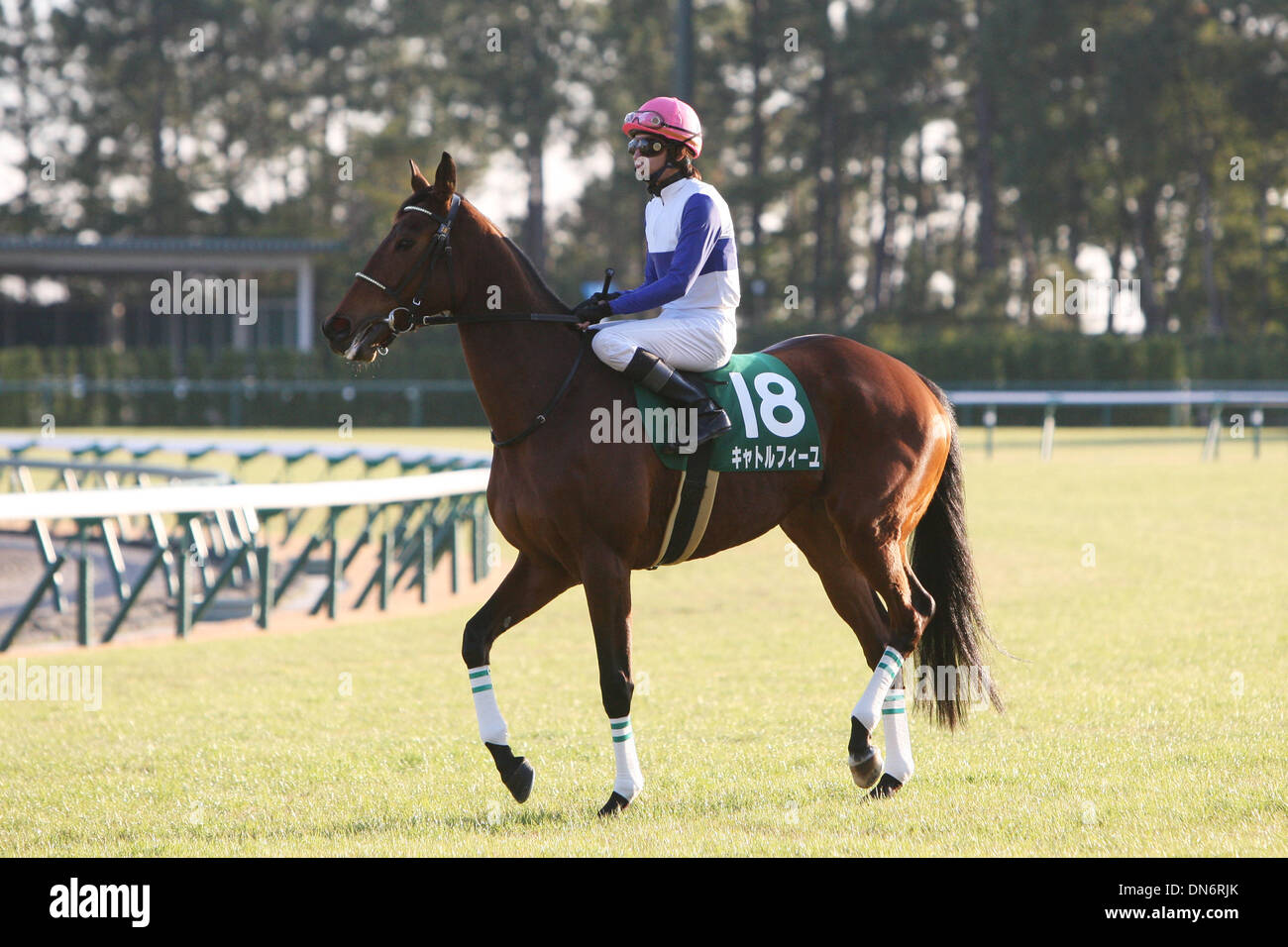 Aichi, Japan. 14. Dezember 2013. Quatre Feuilles (Kazuo Yokoyama ...