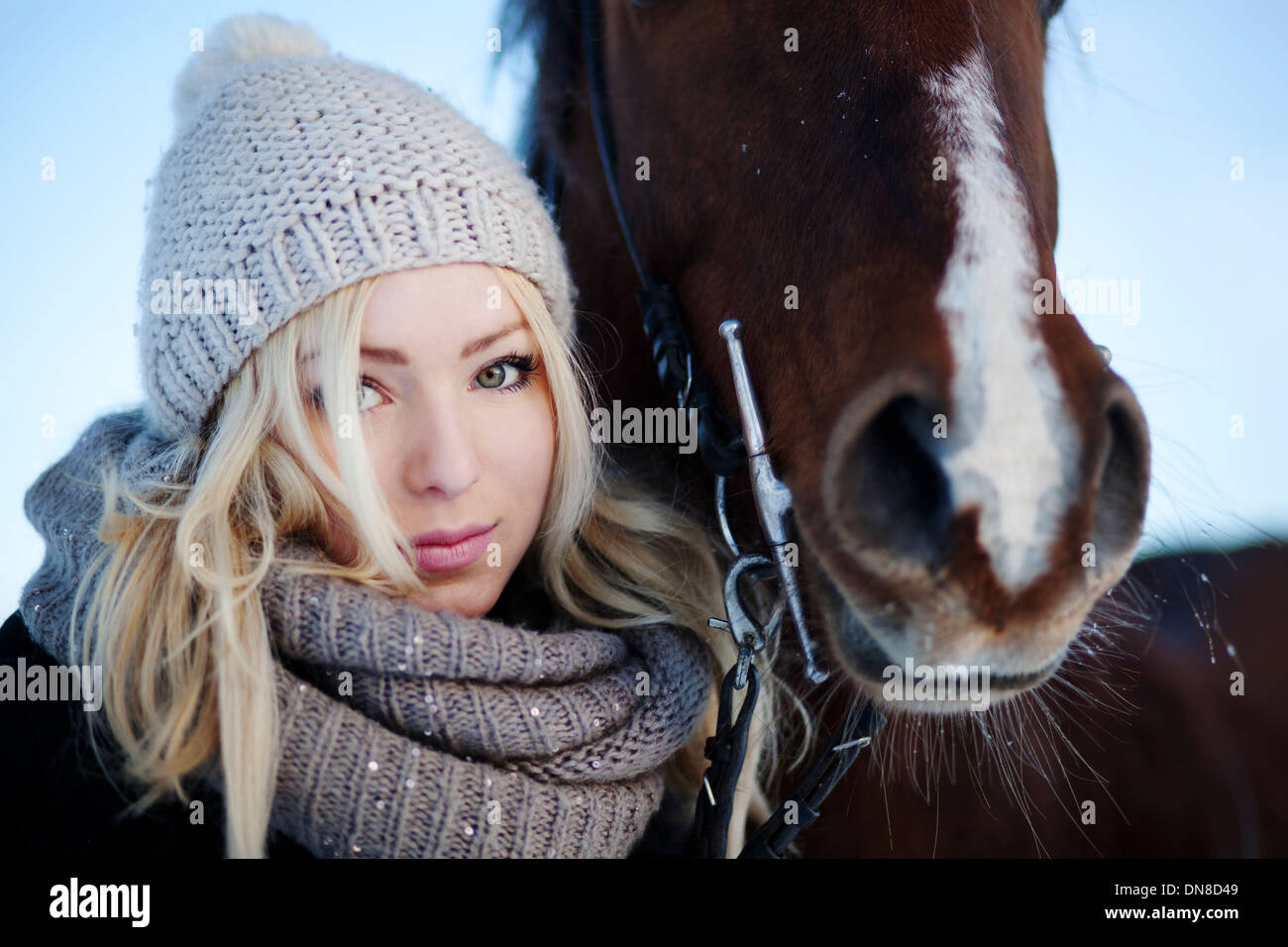 Horse in winter -Fotos und -Bildmaterial in hoher Auflösung – Alamy