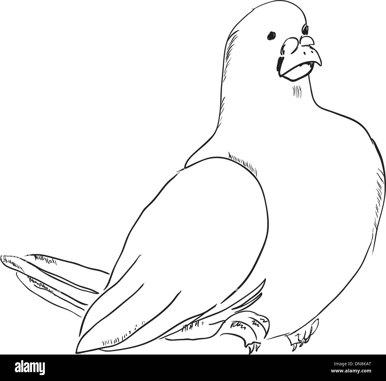 Dekorative taube -Fotos und -Bildmaterial in hoher Auflösung – Alamy