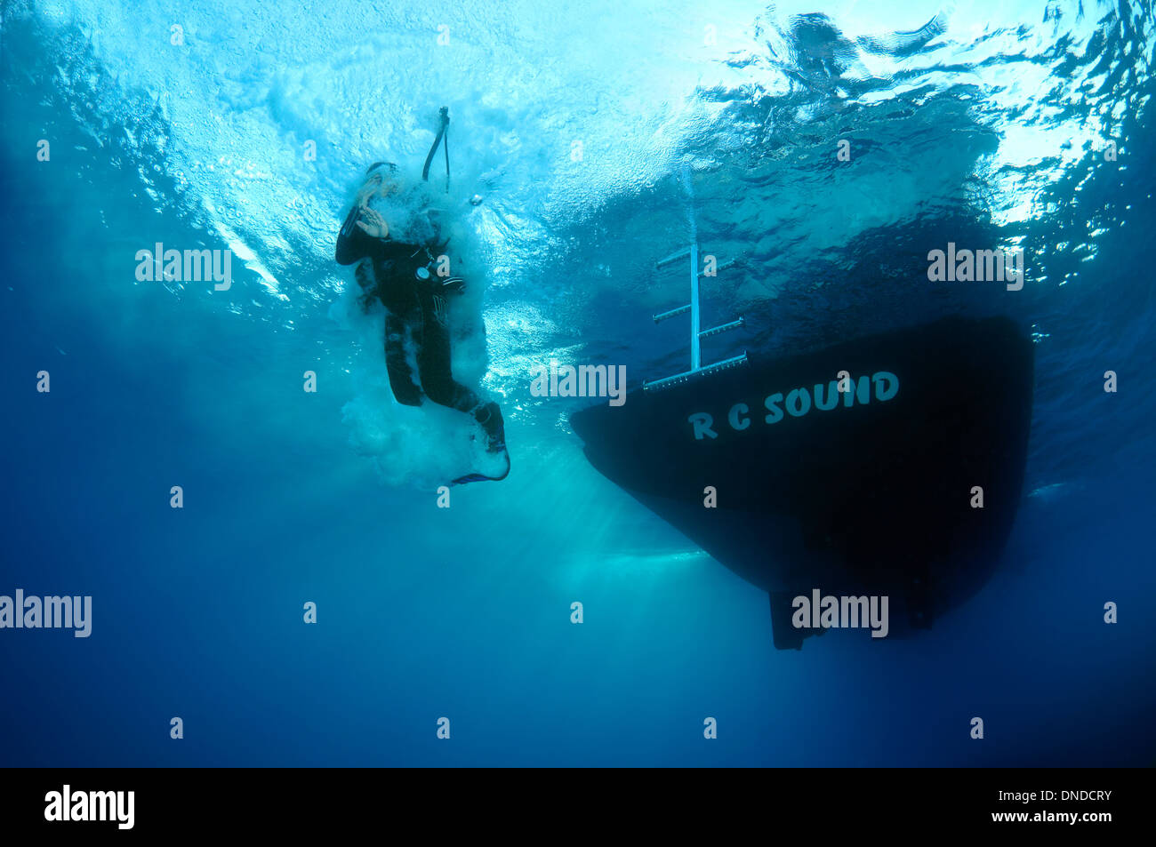 Red sea diving -Fotos und -Bildmaterial in hoher Auflösung – Alamy
