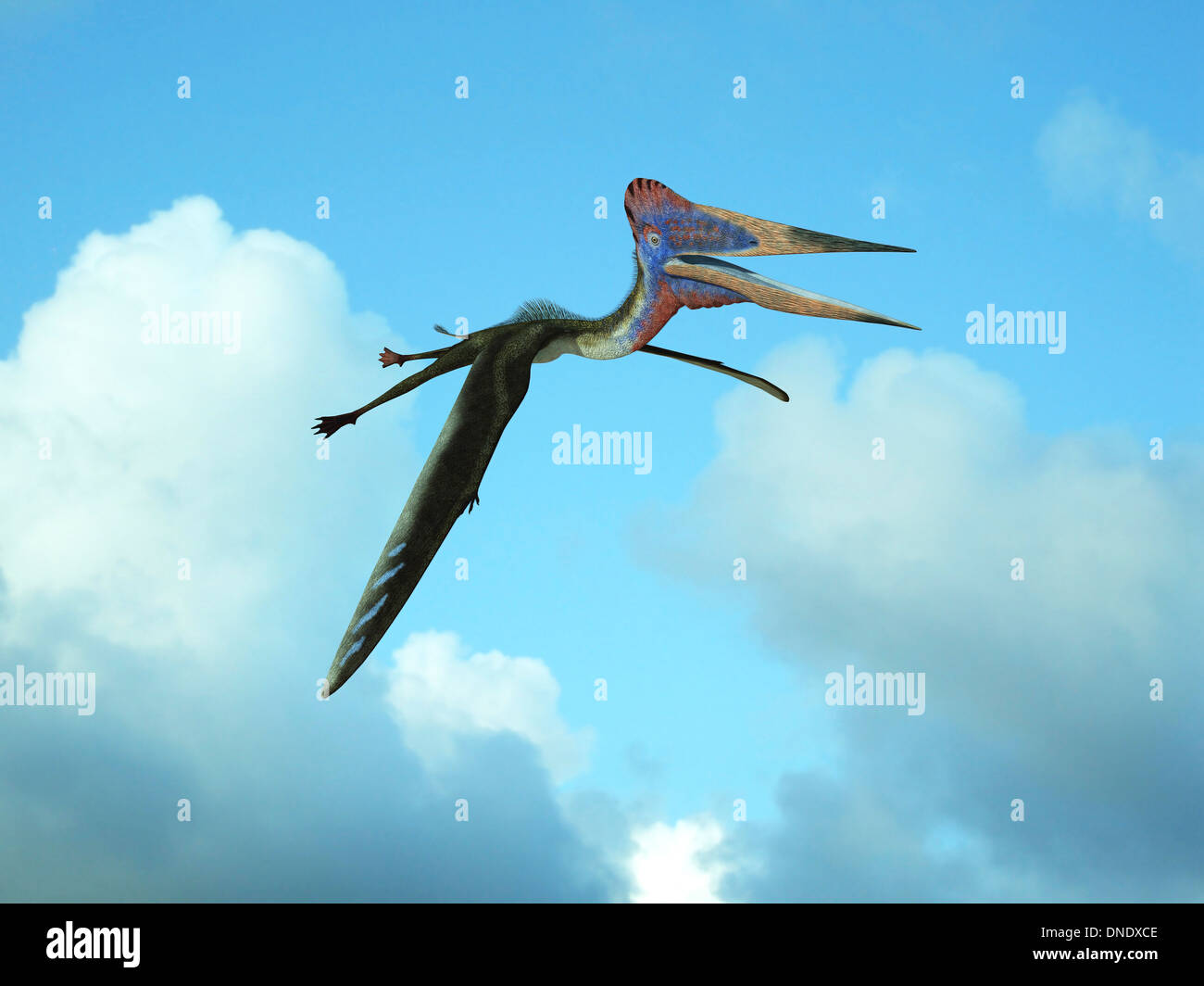 Azhdarchid pterosaur -Fotos und -Bildmaterial in hoher Auflösung – Alamy