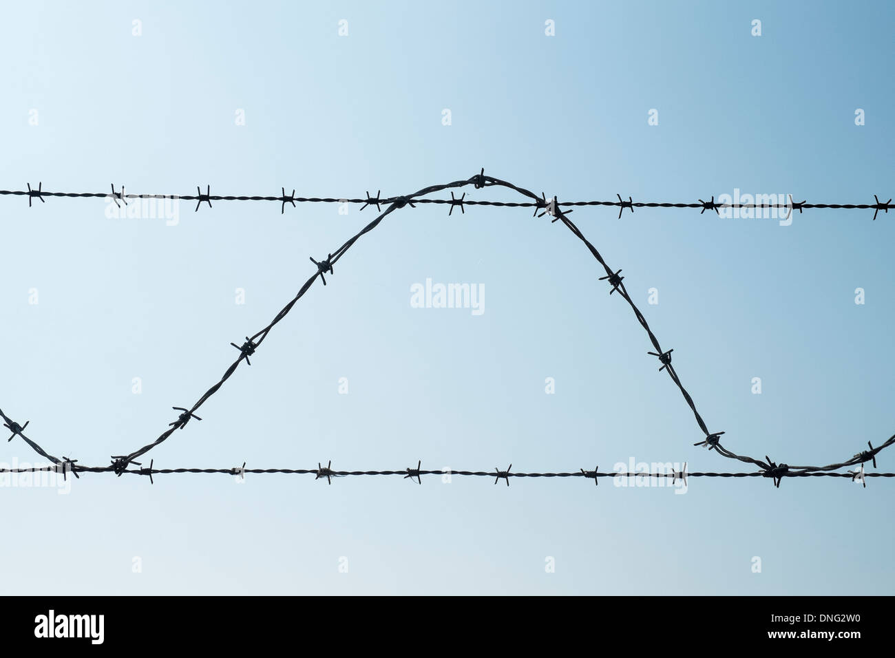 Barbed draht -Fotos und -Bildmaterial in hoher Auflösung – Alamy