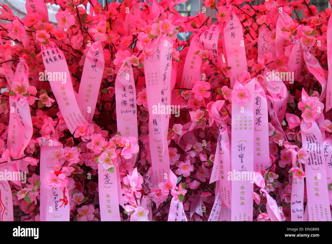 Kantonesische Chinesische Schriftzeichen Hanzi Pinyin Stockfotos und ...