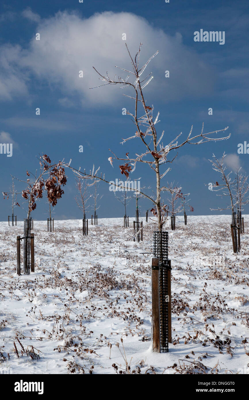 United flight 93 -Fotos und -Bildmaterial in hoher Auflösung – Alamy
