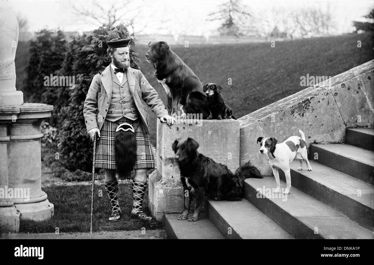 John collie -Fotos und -Bildmaterial in hoher Auflösung – Alamy