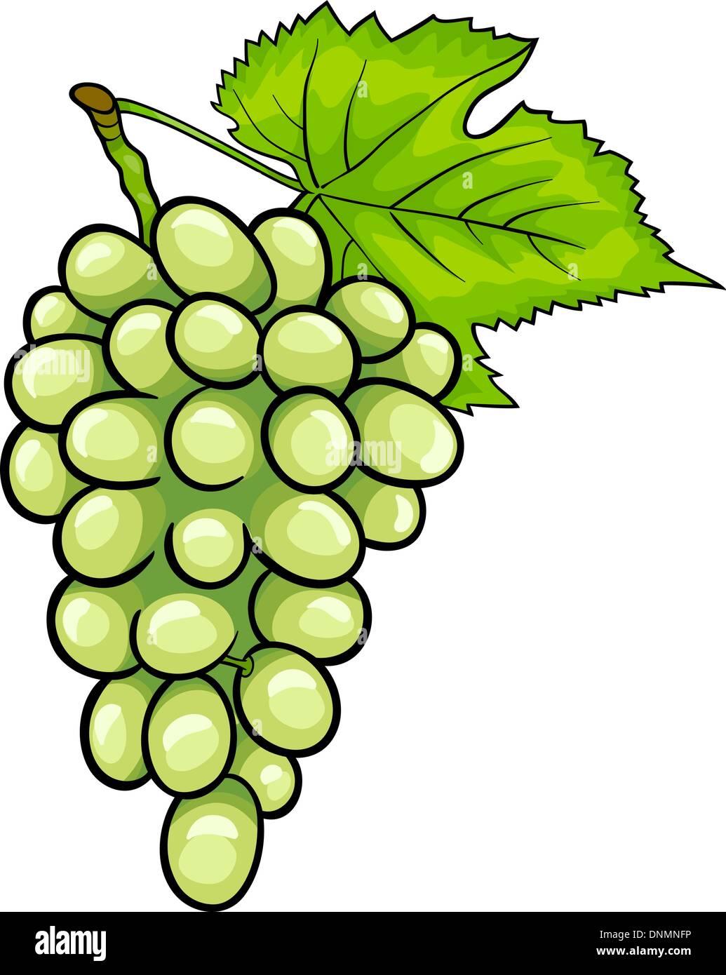 Grüne trauben cartoon -Fotos und -Bildmaterial in hoher Auflösung – Alamy