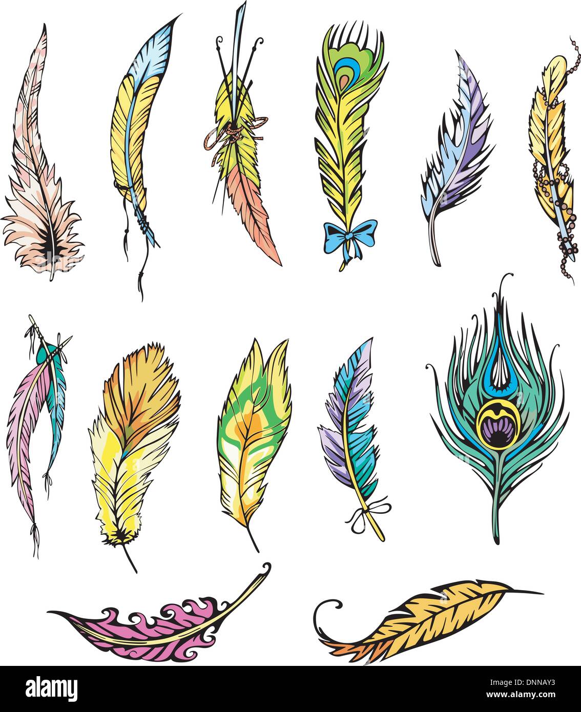 Illustrationen federn Stock-Vektorgrafiken kaufen - Alamy