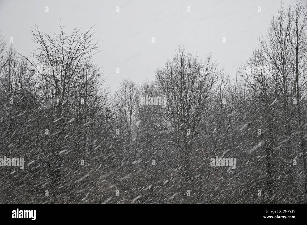 Blowing wind -Fotos und -Bildmaterial in hoher Auflösung – Alamy
