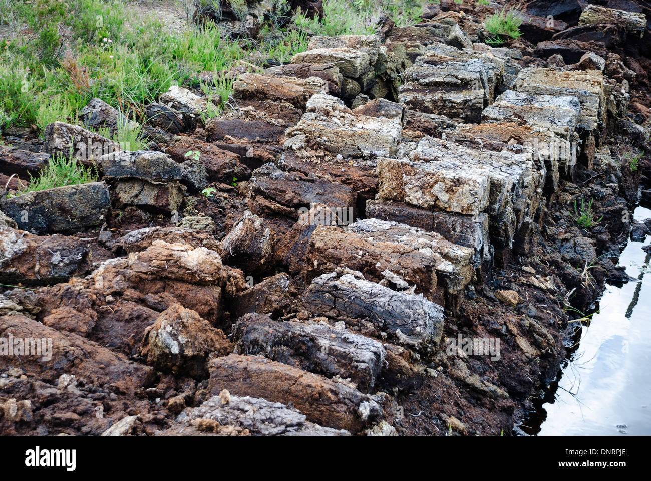 Irisches rasenfeuer -Fotos und -Bildmaterial in hoher Auflösung – Alamy
