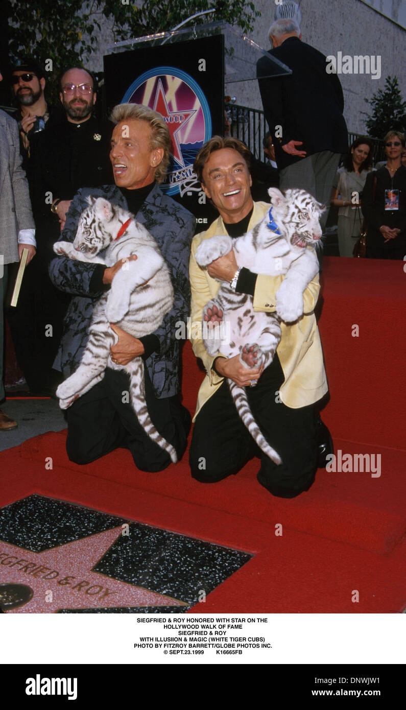 Siegfried and roy tiger -Fotos und -Bildmaterial in hoher Auflösung – Alamy