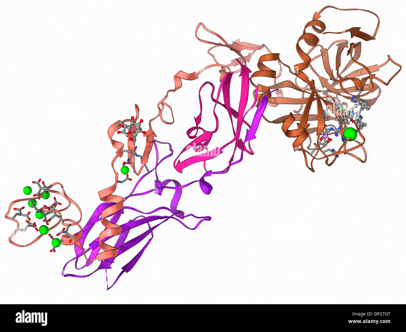 Koagulation Faktor Komplex Molekül Stockfotografie - Alamy