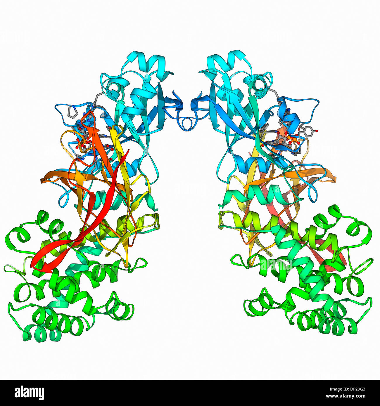 Diphtheria toxin -Fotos und -Bildmaterial in hoher Auflösung – Alamy