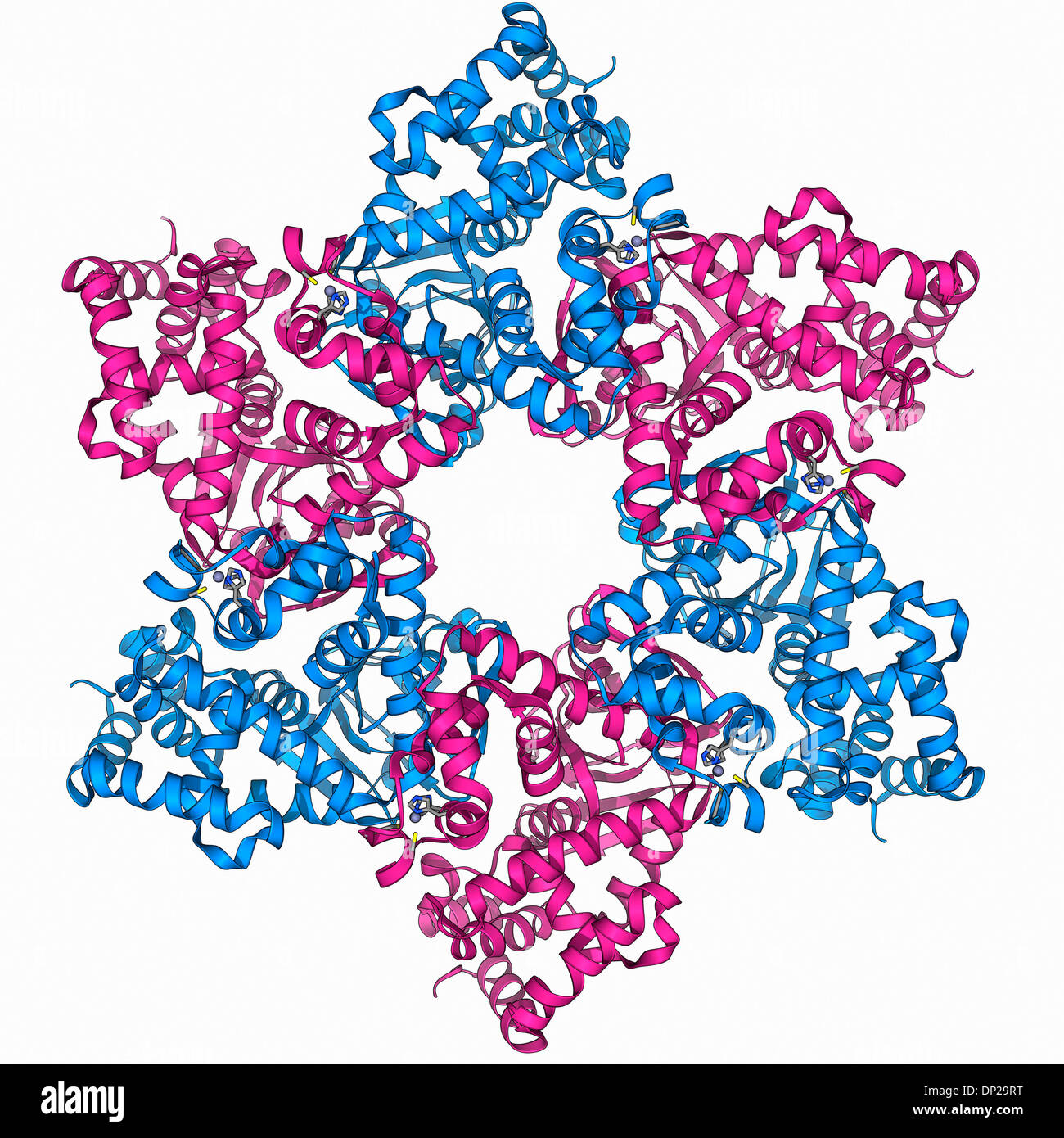 T dna -Fotos und -Bildmaterial in hoher Auflösung – Alamy