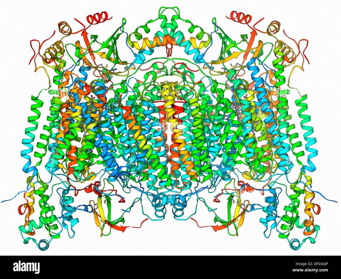 Cytochrom C Oxidase Molekül Stockfotografie - Alamy