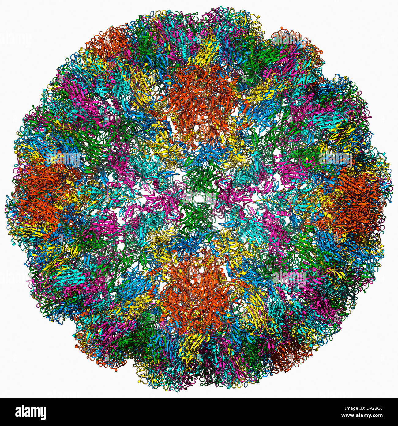 Ikosaedrisches viruskapsid -Fotos und -Bildmaterial in hoher Auflösung ...