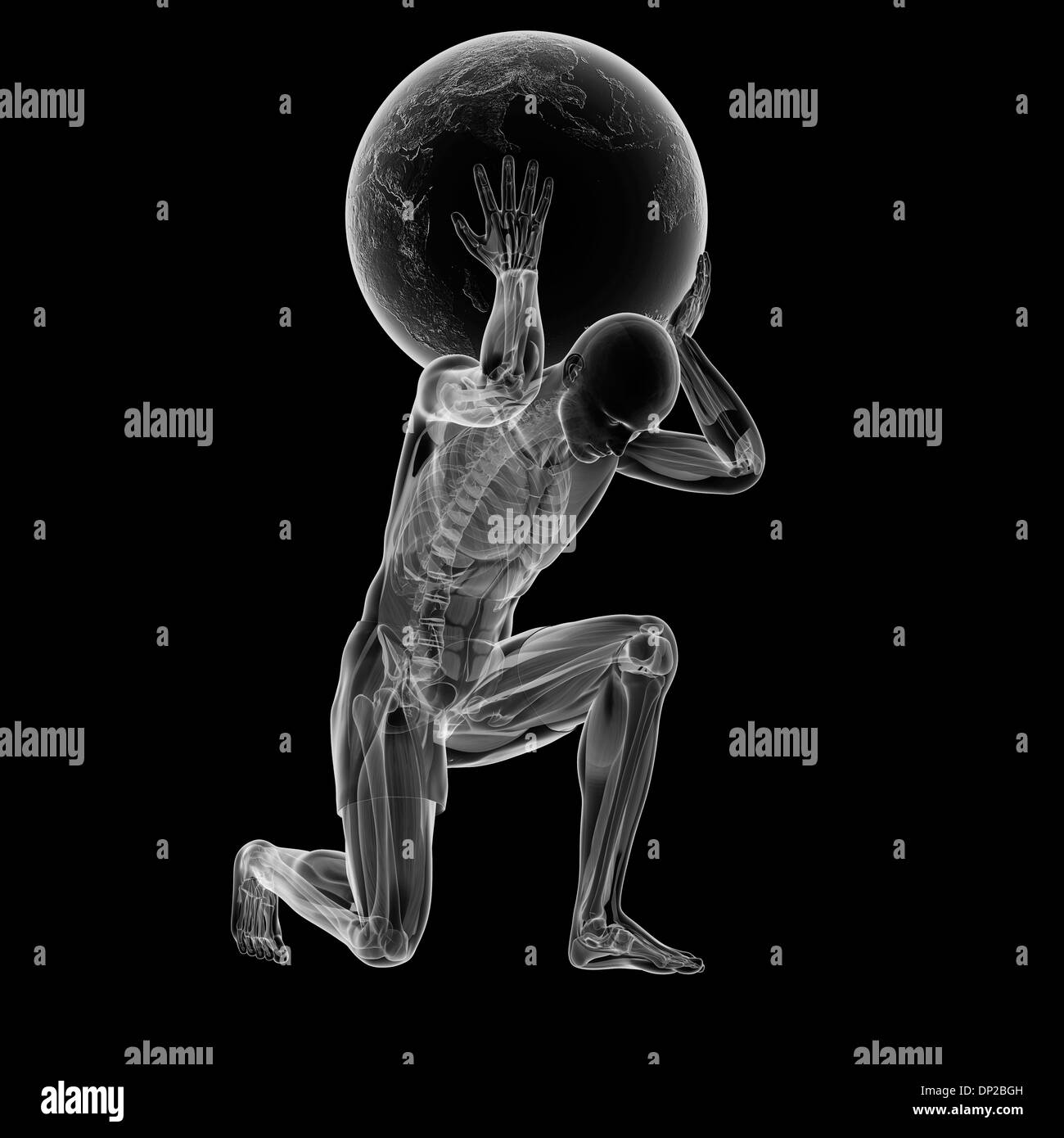 Anatomy atlas Schwarzweiß-Stockfotos und -bilder - Alamy