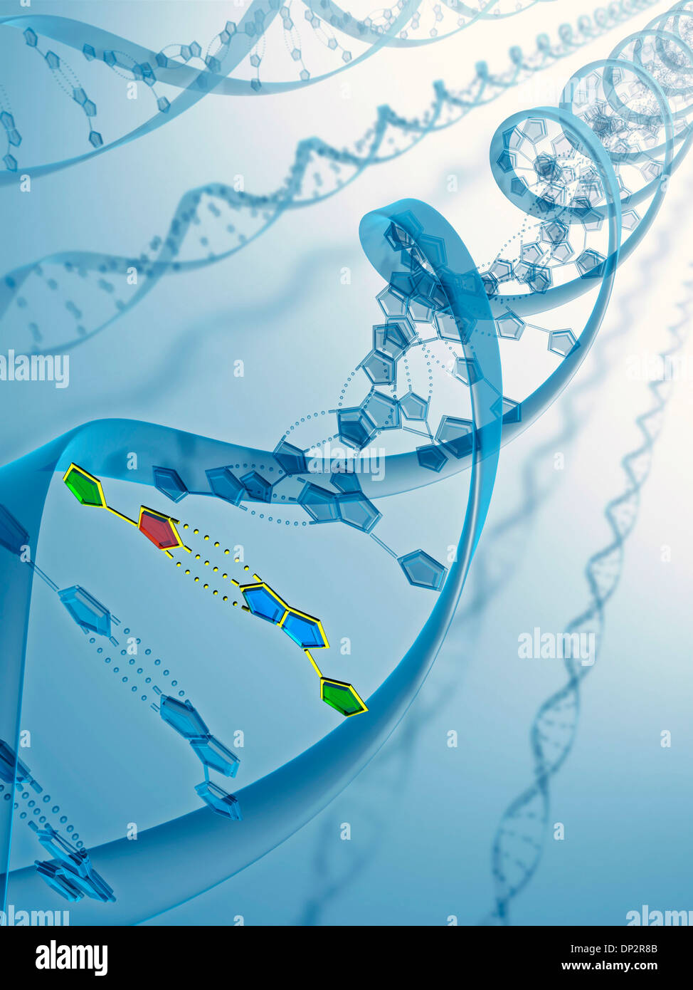 Dna molecules -Fotos und -Bildmaterial in hoher Auflösung – Alamy