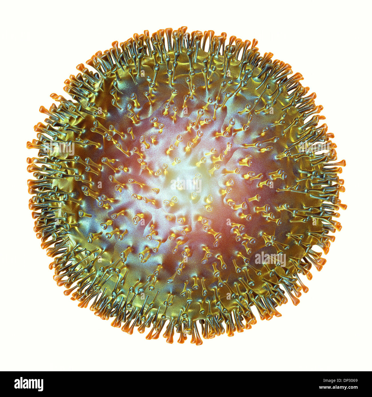 Avian influenza a h5n1 -Fotos und -Bildmaterial in hoher Auflösung – Alamy