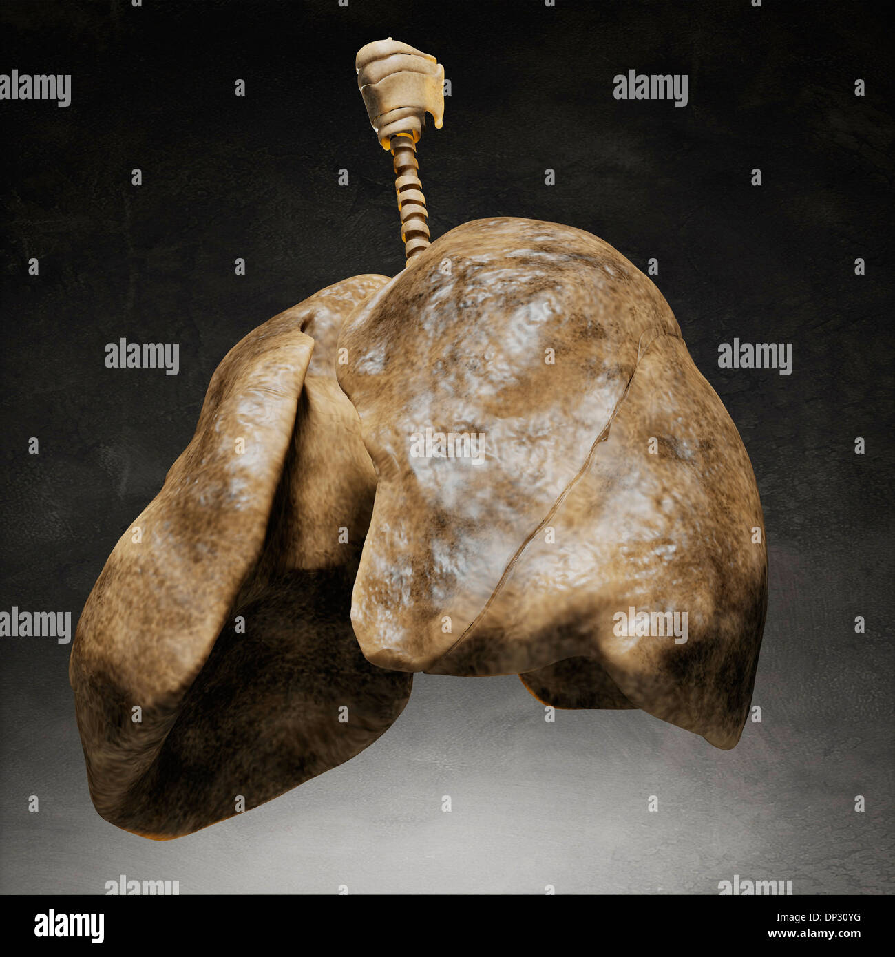 Smokers lung -Fotos und -Bildmaterial in hoher Auflösung – Alamy