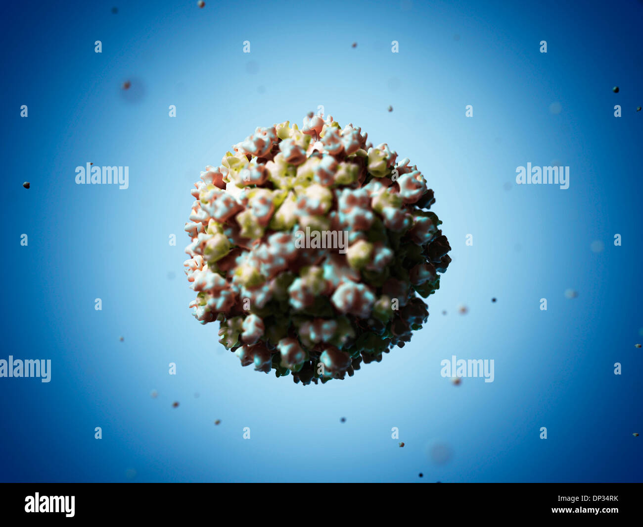 Hepatitis E Virus-Partikel, artwork Stockfotografie - Alamy Hepatitis E Virus-Partikel, artwork Stockfotografie - Alamy