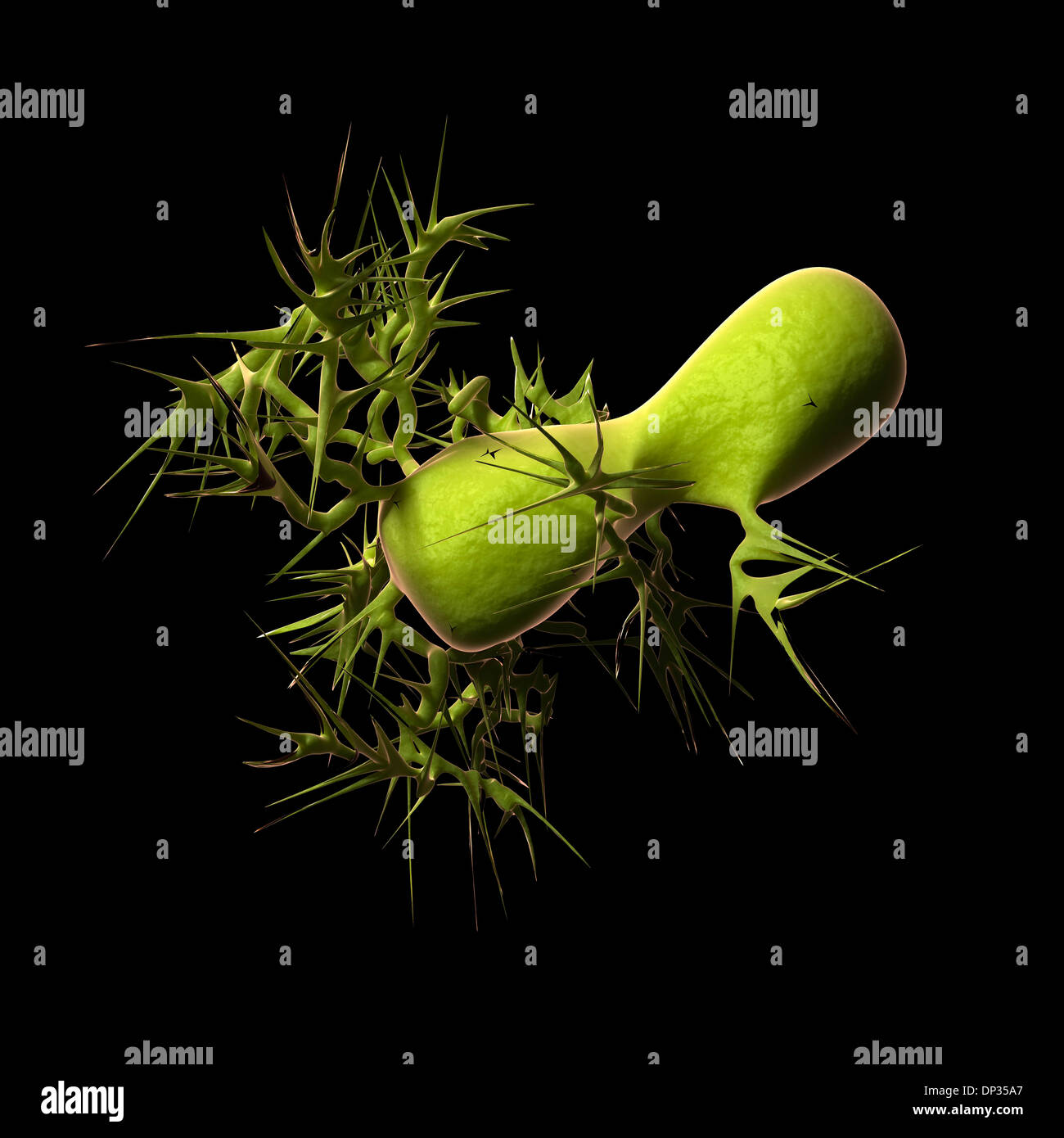 Prion disease -Fotos und -Bildmaterial in hoher Auflösung – Alamy